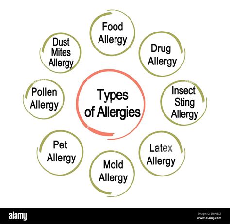 Eight Types Of Allergies Stock Photo Alamy