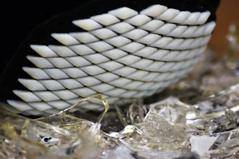 Researchers Develop Flexible 3d Printed Armor Inspired By Mollusks 3d