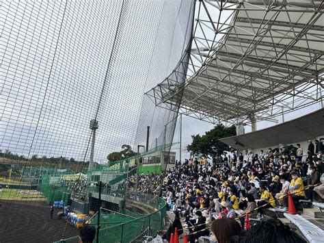 【阪神】宜野座キャンプ初の土曜日は満員で立ち見客も 中野拓夢のランニングスローに拍手で活気 プロ野球写真ニュース 日刊スポーツ