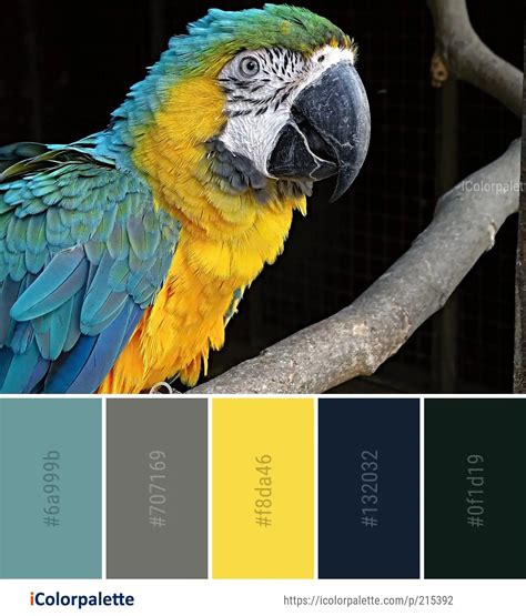 77 Macaw Color Palette Ideas In 2023 Icolorpalette
