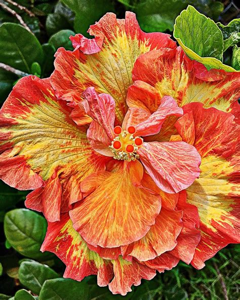 Robin Bisio Photograph Your Love® Instagram Takeover Color Services