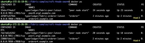 Hyperledger Fabric Raft排序多机部署 学习软件编程
