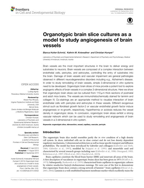 Pdf Organotypic Brain Slice Cultures As A Model To Study Angiogenesis