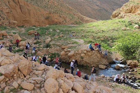 نبع العوجا أحد الثروات الفلسطينية المغتصبة من المستوطنات أصداء