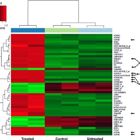 Heat Map On Gene Expression Summarizing Transcripts Showing