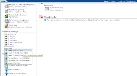 Complete Bi Delivered Ms Office Integration With Obiee 11g