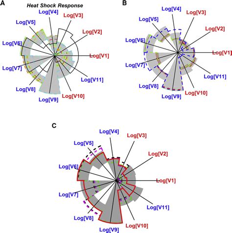 Spider Plot Representation Of The Feasibility Range Of Adaptation Of Download Scientific Spider Plot Representation Of The Feasibility Range Of Adaptation Of Download Scientific
