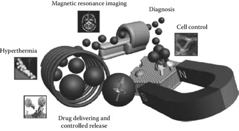 Biomedical Applications Of Magnetic Nanoparticles Download