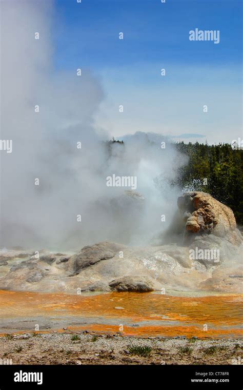 Grotto Geyser Upper Geyser Basin Yellowstone National Park Stock