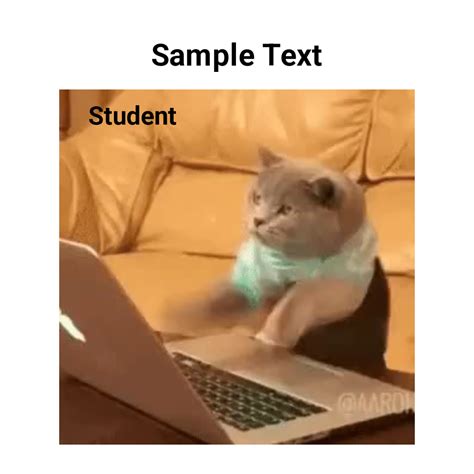 Cat Typing Animated  Maker Piñata Farms The Best Meme Generator