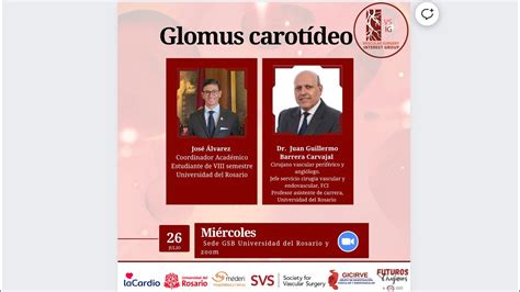 Glomus Carotídeo Youtube