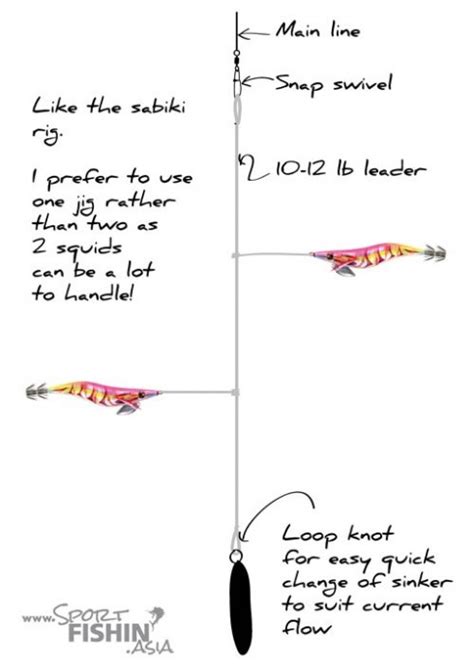 Squid Fishing How To Squidding Or Egi Sport Fishing Asia