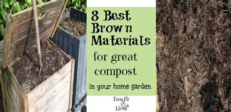 8 Best Brown Material For Great Compost For Your Home Garden
