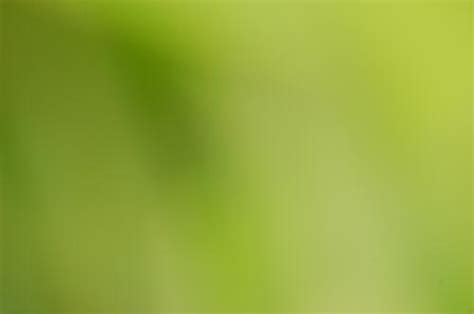 Nature Grass Light Blur Plant Wallpapers From Arashilkis Images From