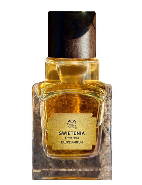 Body Shop Men Perfume 7 Parfum Pria The Body Shop Yang Memberikan