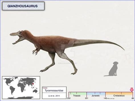 Xuwulong Pictures Facts The Dinosaur Database