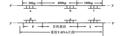 题目 某家系的遗传系谱图如下1号个体不携带乙病的致病基因据图分析下列有关说法正确的是 A由于患乙病的只有男性由此可推断该病为伴性