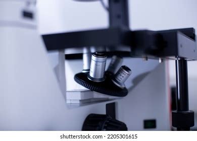 세포배양실의 형광현미경 스톡 사진 2205301615 Shutterstock