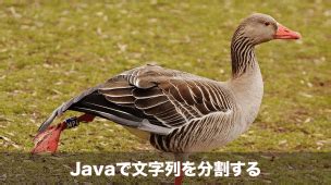分で理解Javaの文字列を分割するsplitメソッドStringクラス