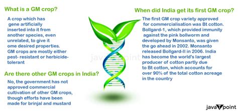 Genetic Modified Crops Tpoint Tech