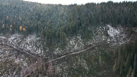 Deforestation Destruction Of Trees In The Mountains Vast Areas Of