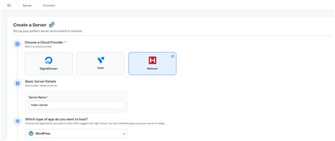 How To Set Up A Hetzner Server To Host Your Websites