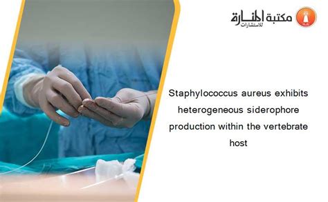 Staphylococcus Aureus Exhibits Heterogeneous Siderophore Pro
