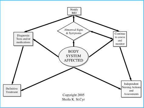 Body Systems Chart