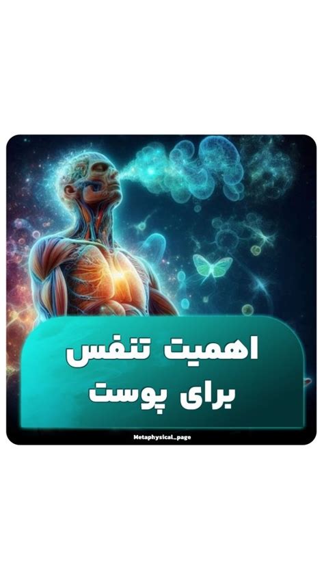 Mohammad Karimi ‎درخت را در آغوش بگیر😳 از تاثیرات طبیعت و ارتباط