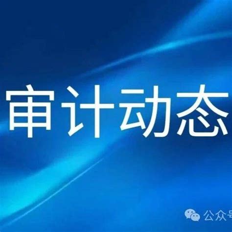三门峡市审计局组织开展审计信息宣传工作培训实践余人人员