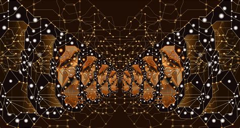 Monarque Papillon Fractal Jean Claude Meynard Galerie Dumonteil