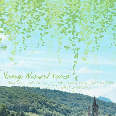 나무자전거 고급투명유리시트지 Mk Tsc 172 안개숲정원01나무자전거 시트지 그래픽스티커 레터링전문