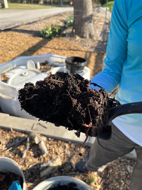 Worm Composting Systems Gardenq