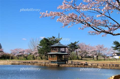 Photolibrary