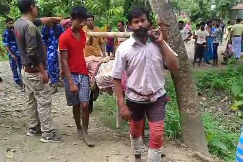 Gun Firing In Cooch Behar One Dead And Several Injured In Dinhata Gun