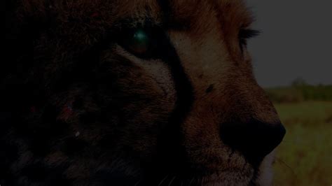 Hpe Data Storage On Linkedin Hci 2 0 From Hpe