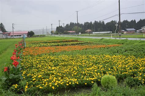 晴山資源保全隊 青森県多面的機能支払推進協議会
