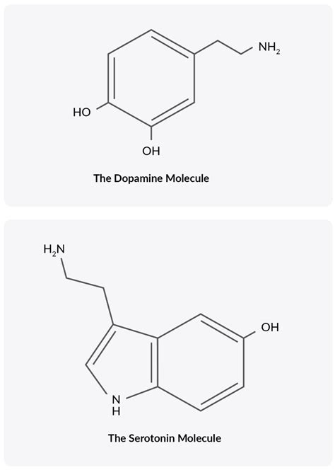Serotonin And Dopamine Structures