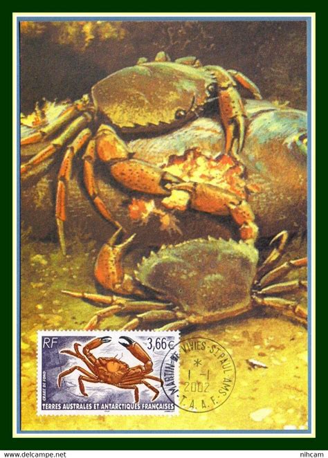 Fdc Taaf Carte Maximum N Crabe
