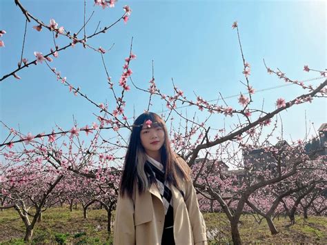 三八妇女节丨愿你们笑魇如花 一生尽是芳华澎湃号·政务澎湃新闻 The Paper