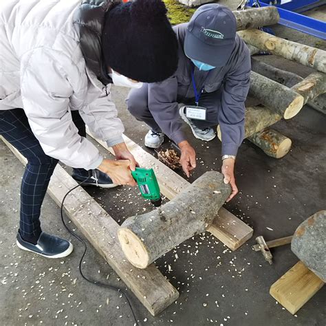 第2回 広葉樹の植栽及び森林まつりを開催致します 津南町森林組合