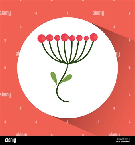 Flower Emblem Image Stock Vector Image And Art Alamy