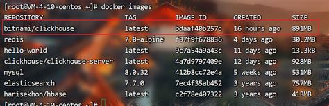 docker 部署clickhouse docker部署clickhouse 最新版本 csdn博客