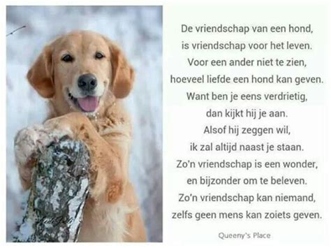 Zonder Barry Was Het Leven Heel Anders Geweest Hondenliefhebbers