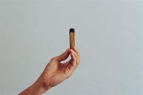 Palo Santo Calvin So