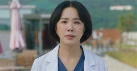 크론병이 못된 병 유전 사과해라 닥터차정숙 질병 묘사 논란[스타이슈]