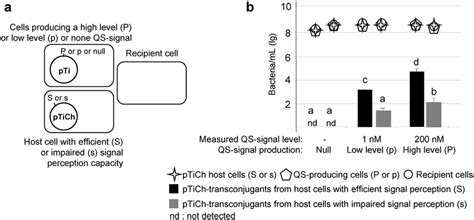 The Qs Signal Negative Plasmid Ptich Can Exploit The Qs Signals Emitted