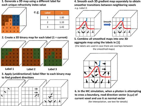 Modeling Voxel Based Monte Carlo Light Transport With Curved And Oblique Boundary Surfaces