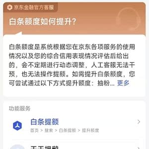 京东白条额度并非永久固定 多种提额方式均可选择 手机新浪网