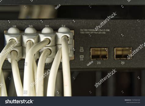 Network Switch Ethernet Cable Rack Cabinet Stock Photo Shutterstock